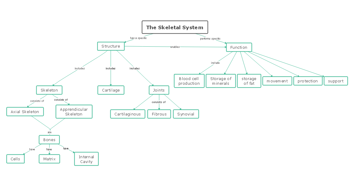 Concept Map Skeletal System Angela Maureene
