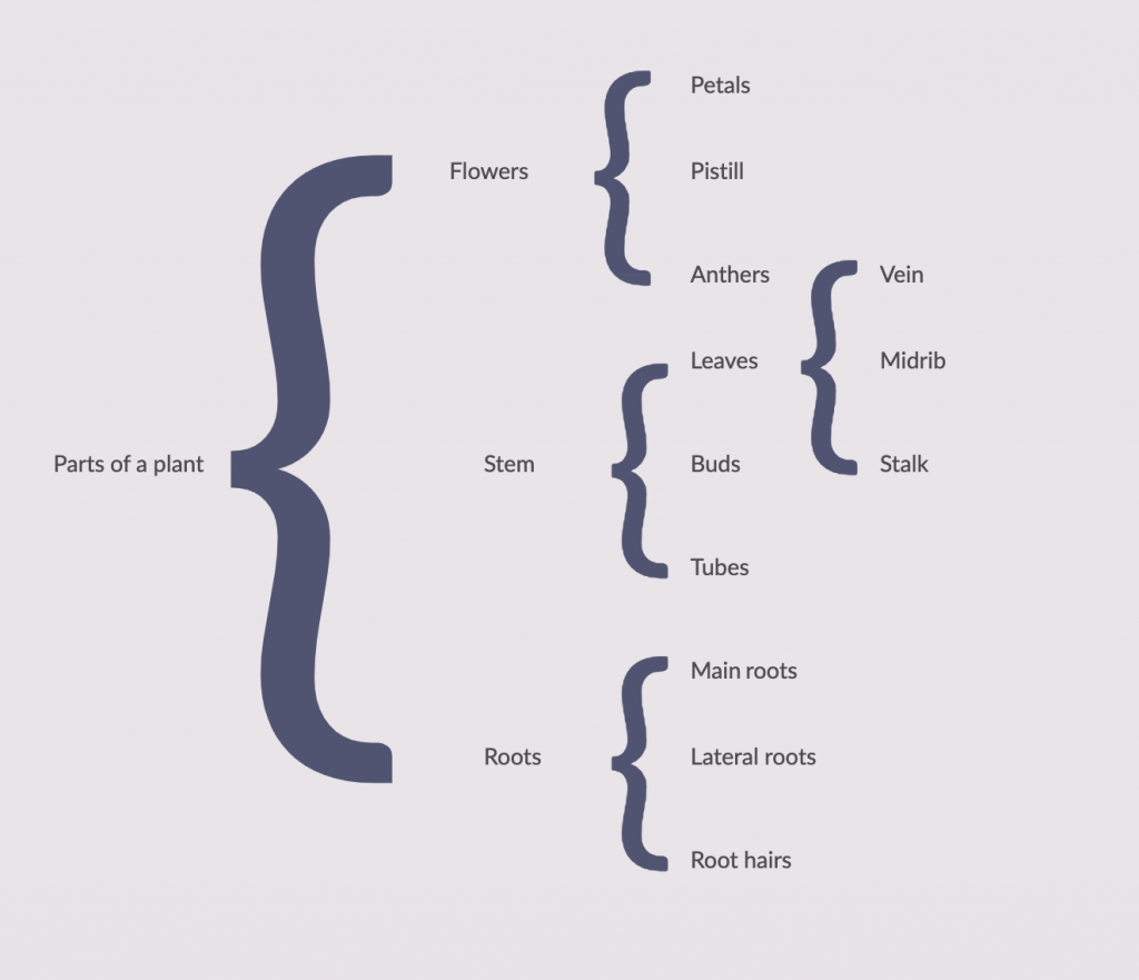 The 9 Popular Types Of Mind Map EdrawMind