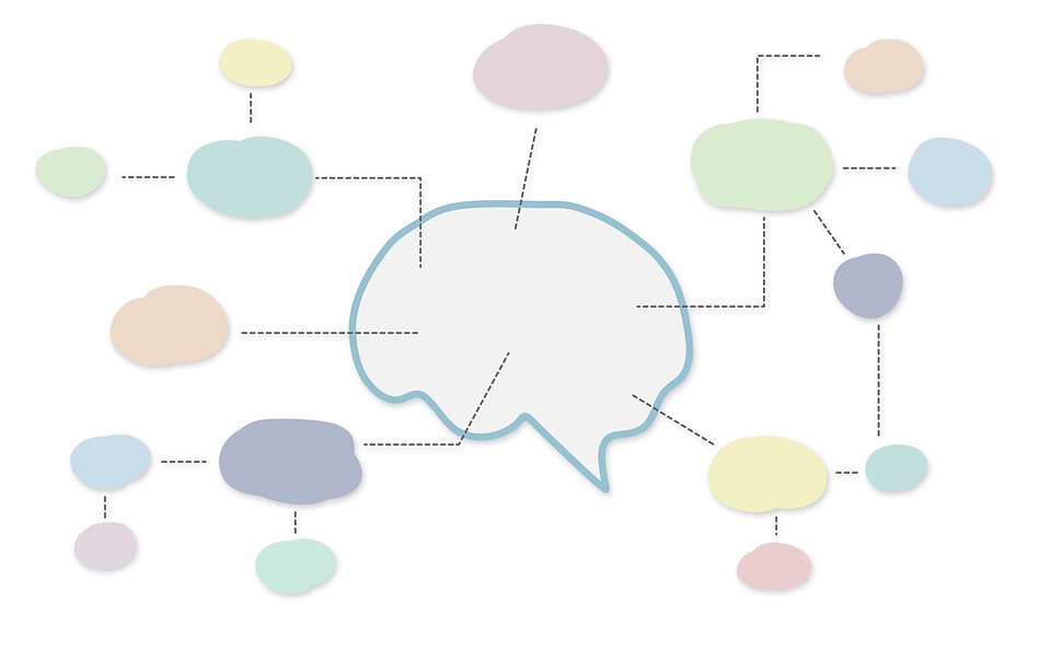 The 9 Popular Types Of Mind Map EdrawMind