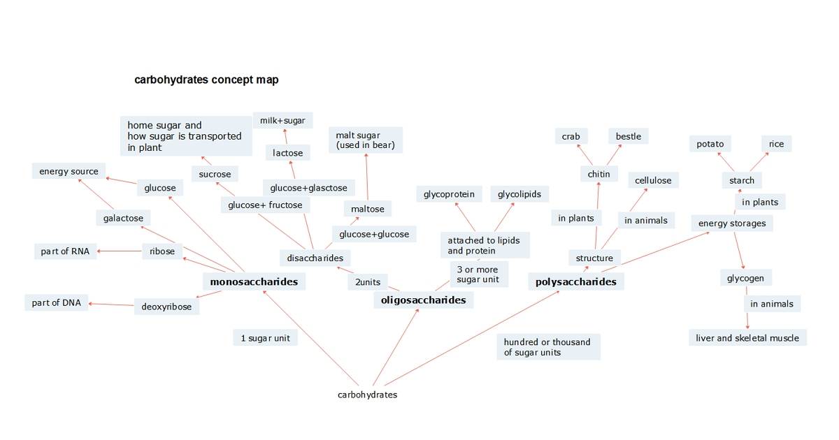 Carbohydrate Concept Map Template EdrawMind Carbohydrate Concept Map Template EdrawMind