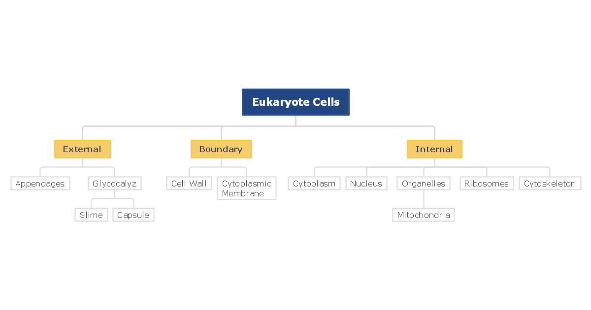 Eukaryotic Cells Concept Map Amabel Marianne Eukaryotic Cells Concept Map Amabel Marianne