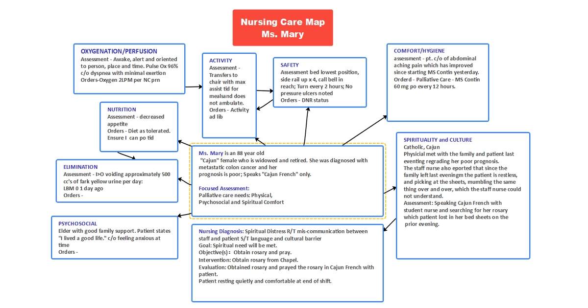 Nursing Concept Map Template EdrawMind
